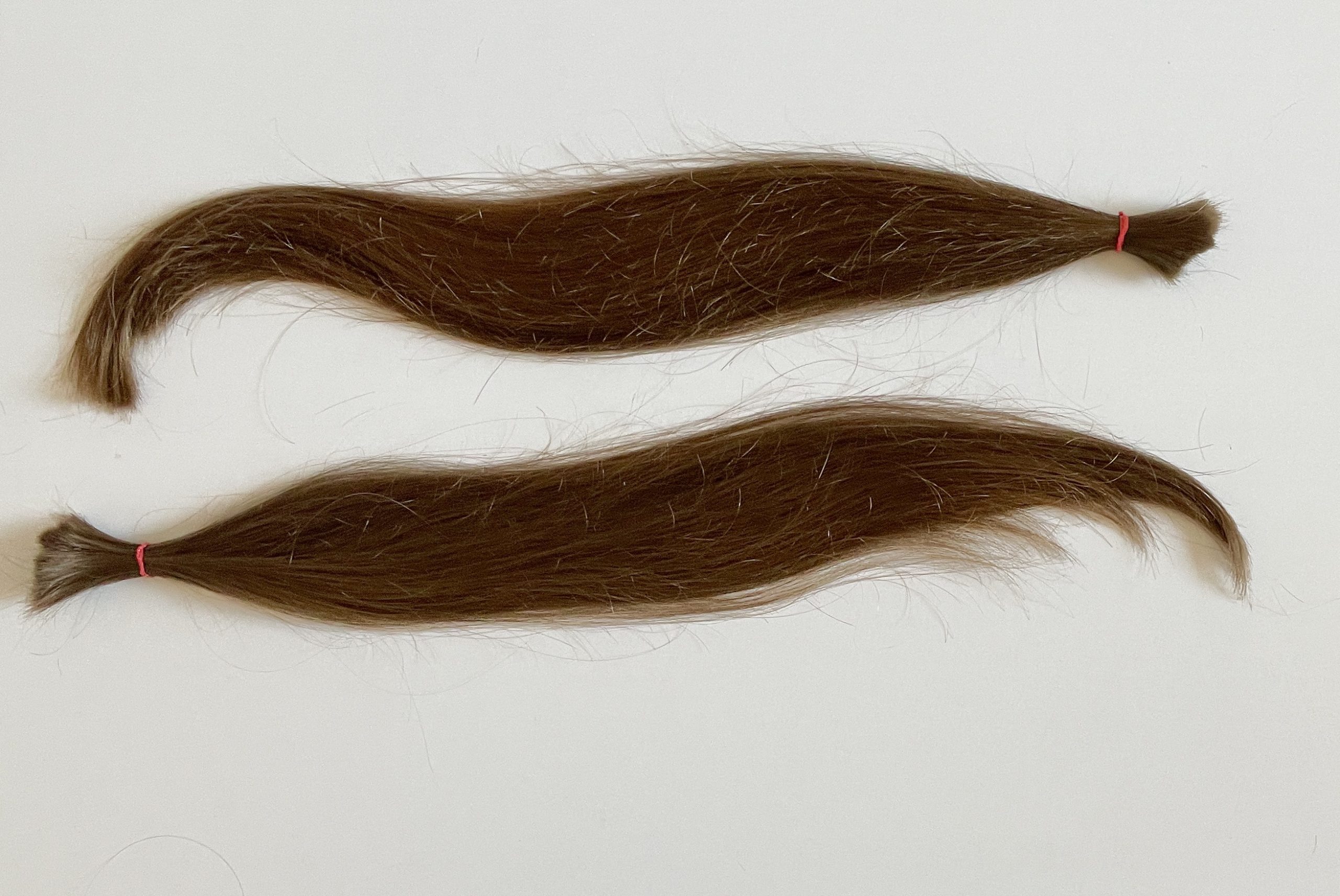 Cheveux châtains clairs - JeVendsMesCheveux.com